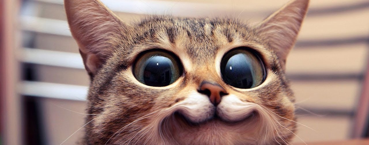 Алина Загорская