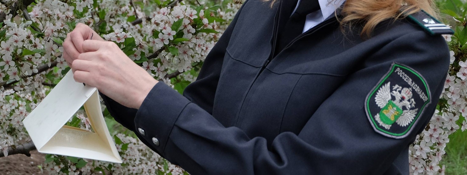 Россельхознадзор РФ