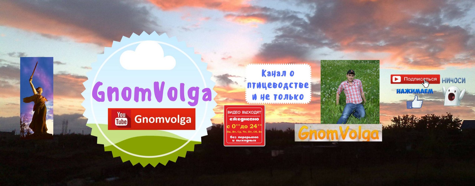 Gnomvolga "Птичье Царство" Гном Волга