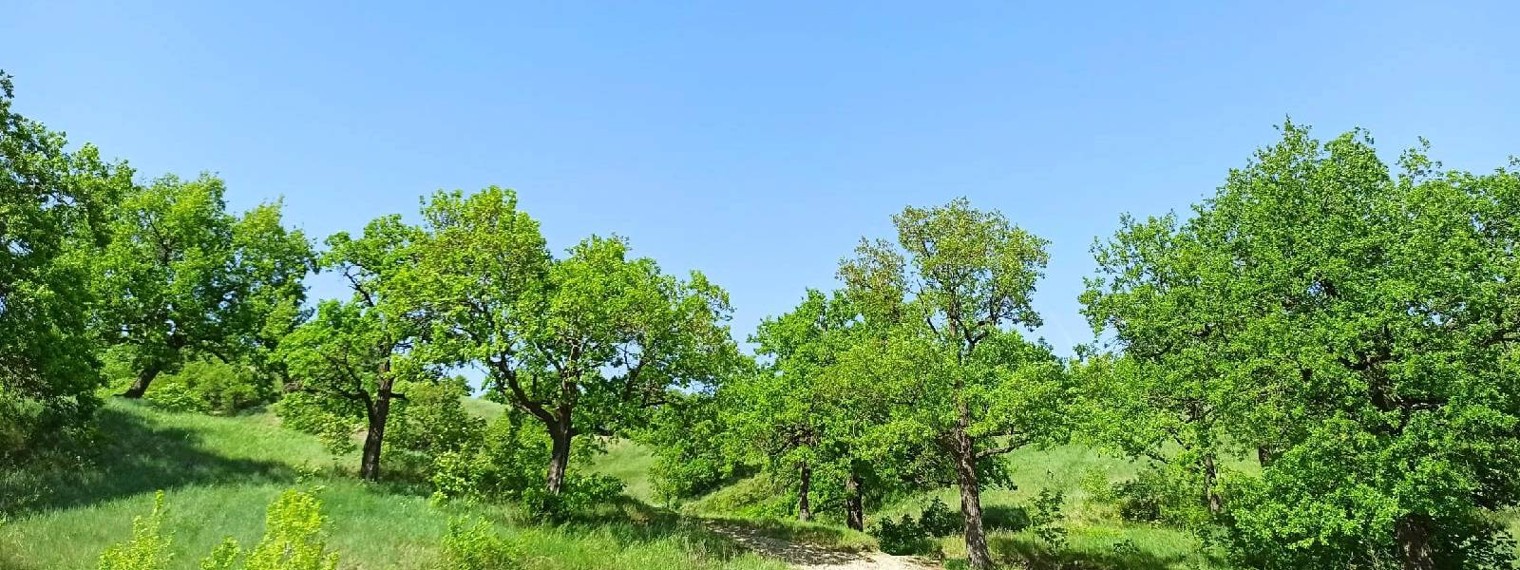 Павел Петров