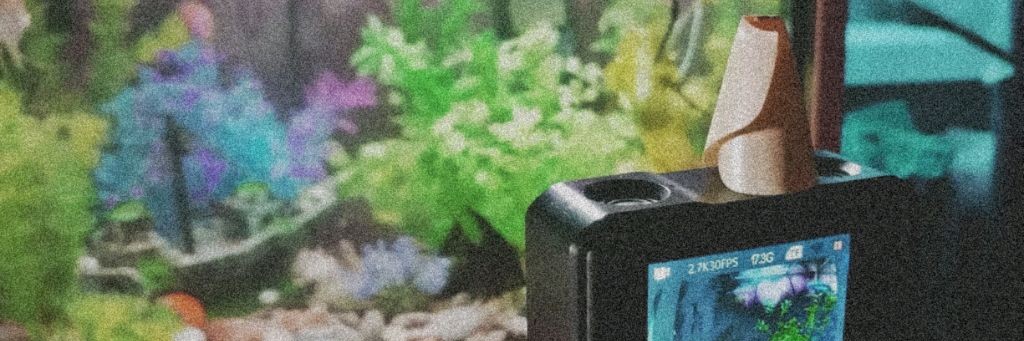 Scalе FishLife