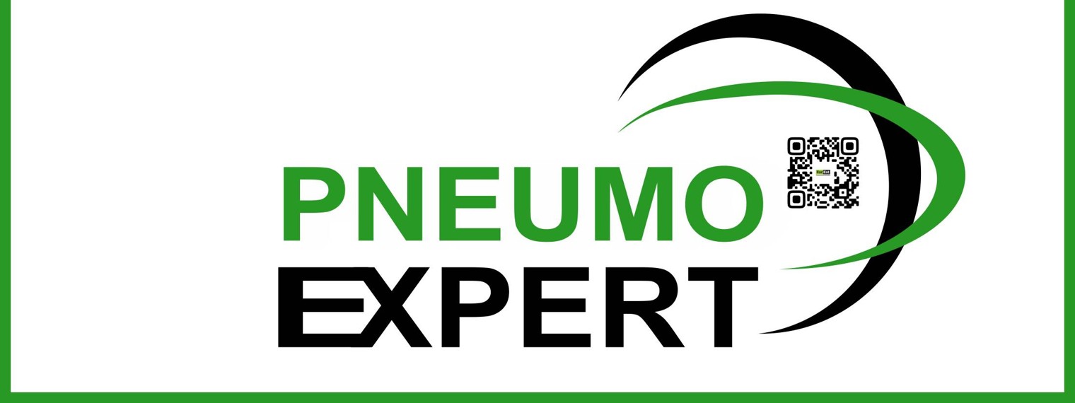 Пневмоэксперт (Pneumoexpert)