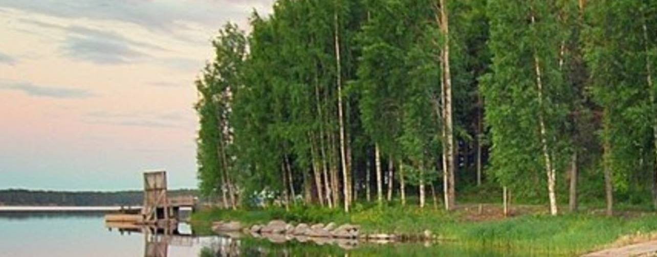 Цокотуха вяжет