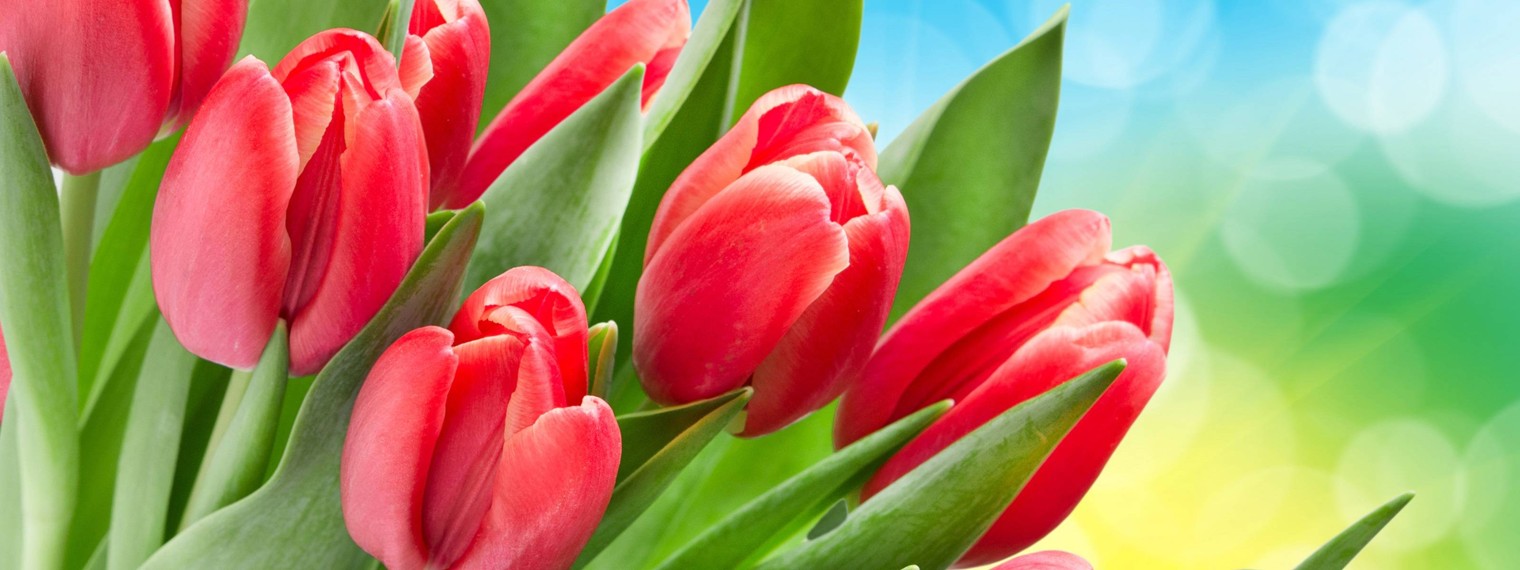 Детская телестудия "Лазорик" Новочеркасск