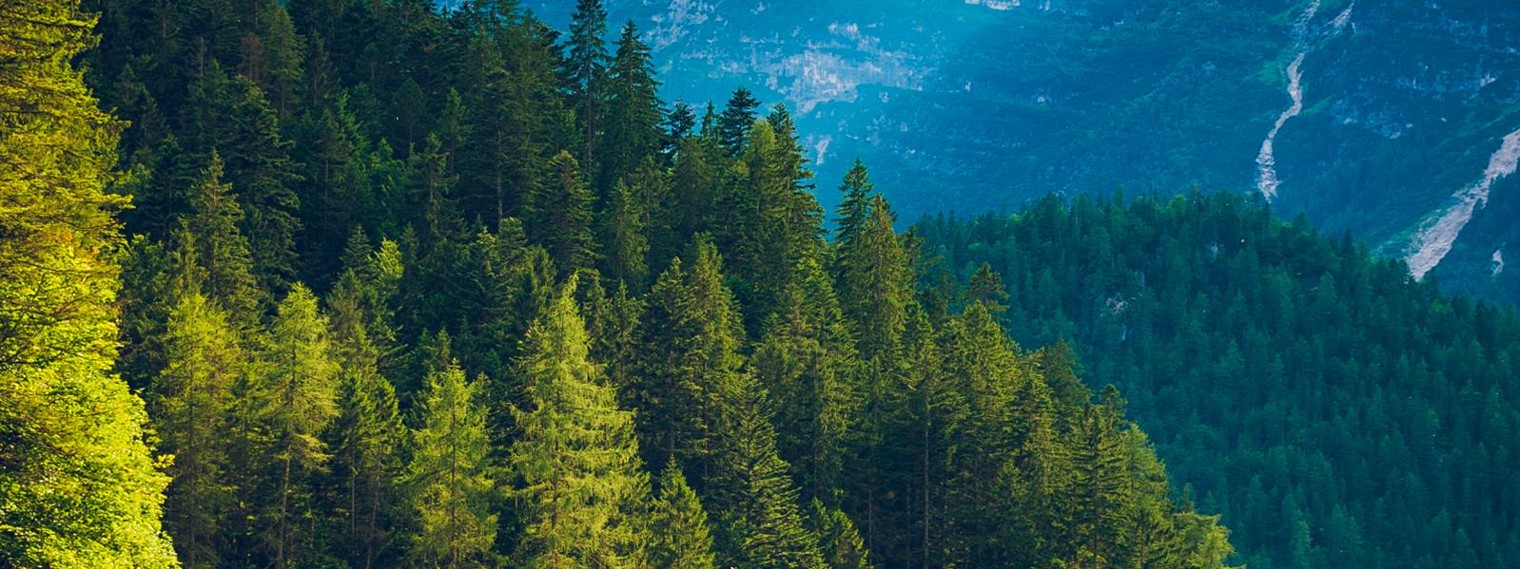 ЗДОРОВЬЕ ВО ВСЕМ