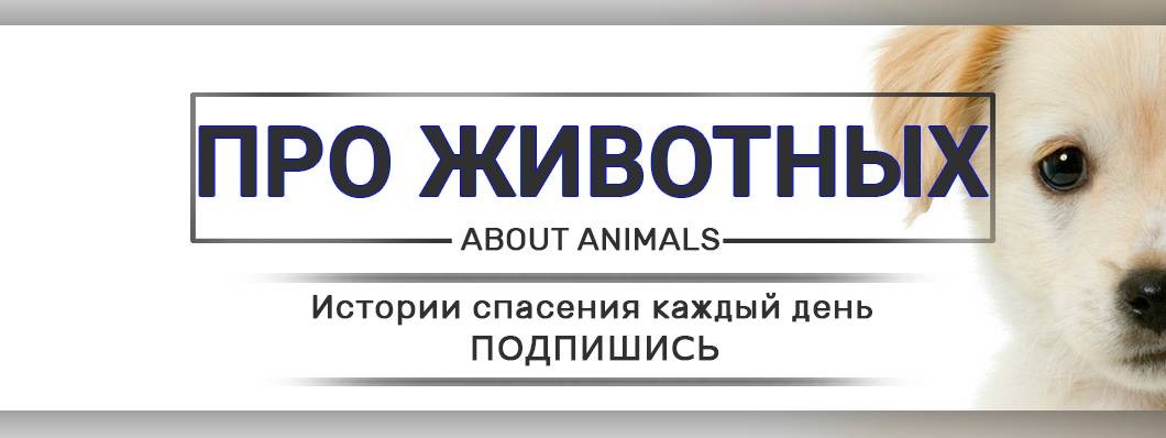 ПРО ЖИВОТНЫХ