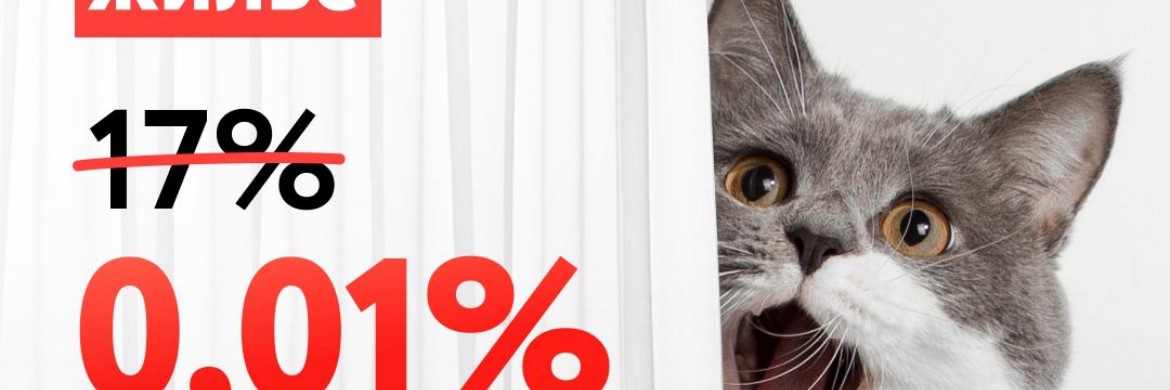 Мир Чистоты