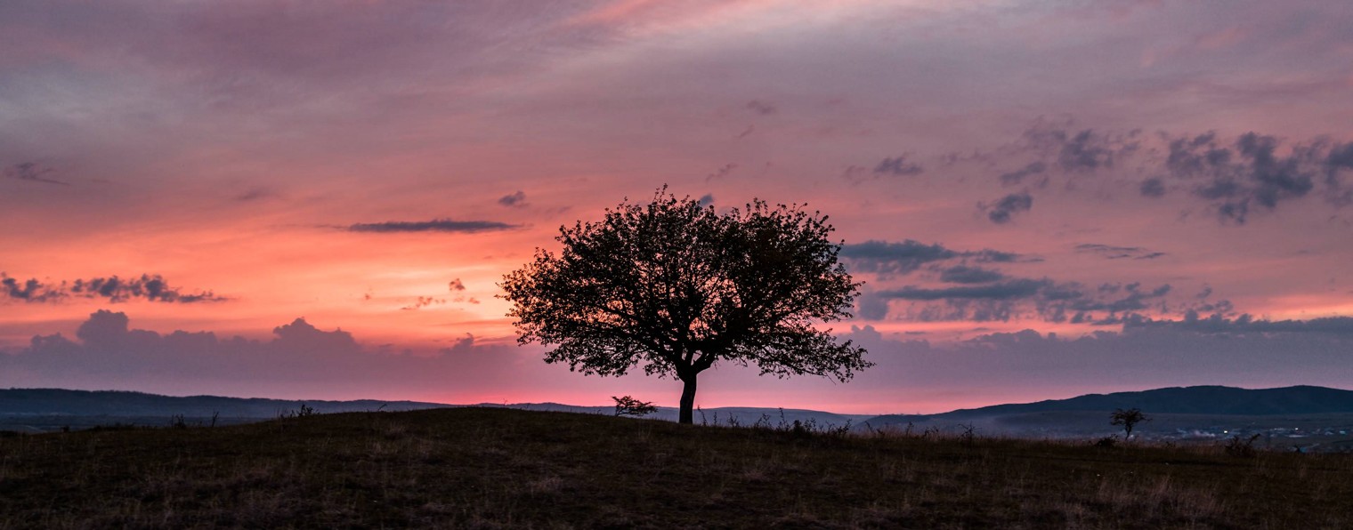 Кинокомпания ОДНО КИНО