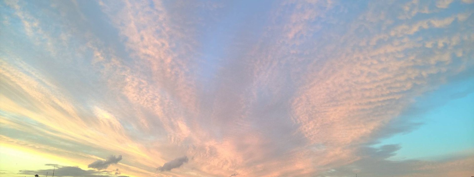 Людмила Орлова