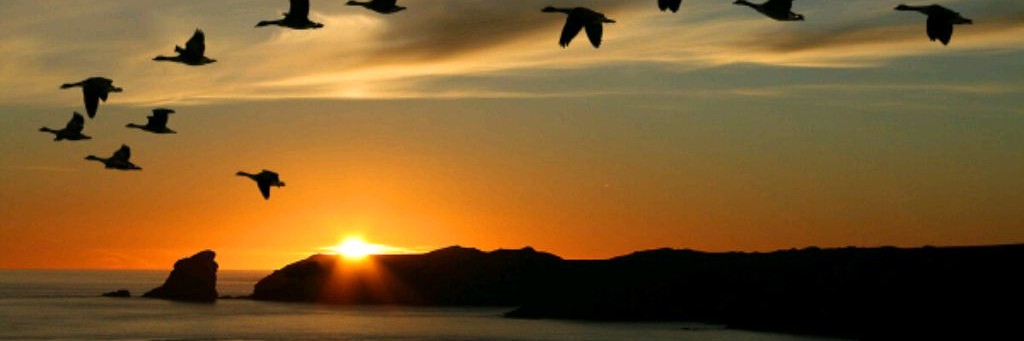 Александр Домбровский