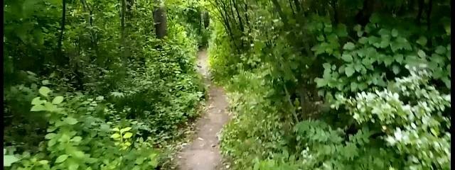 Музыка вашей жизни. Медитация, релакс и покой.