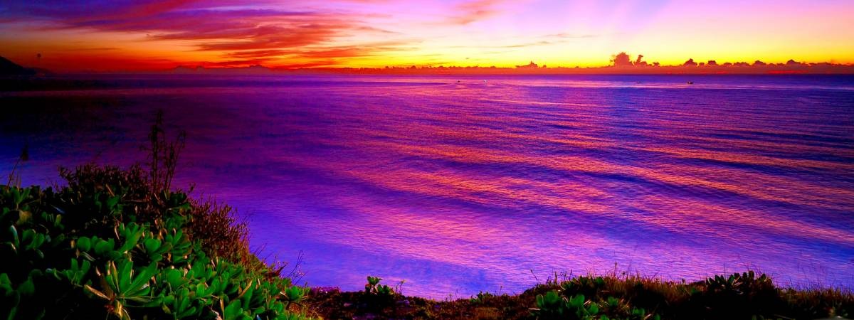 Жизнь некит