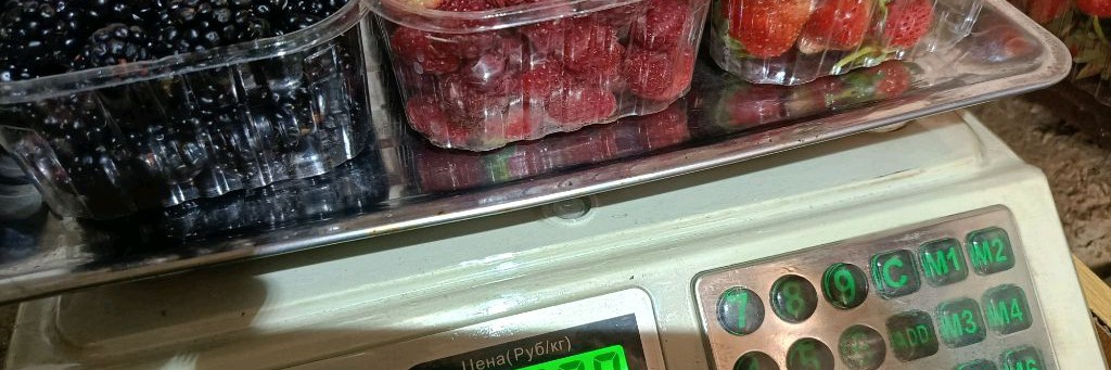 agro_donetsk Выращиваем Малину Клубнику, Смородину