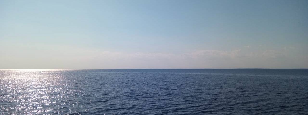 Елена Красова