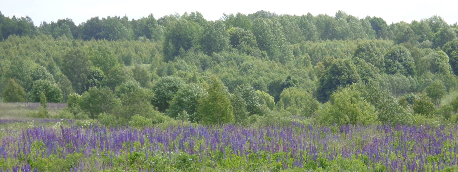 УЗИ с Михаилом Котиным