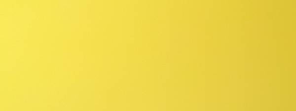 Собрание депутатов Каслинского муниципального района