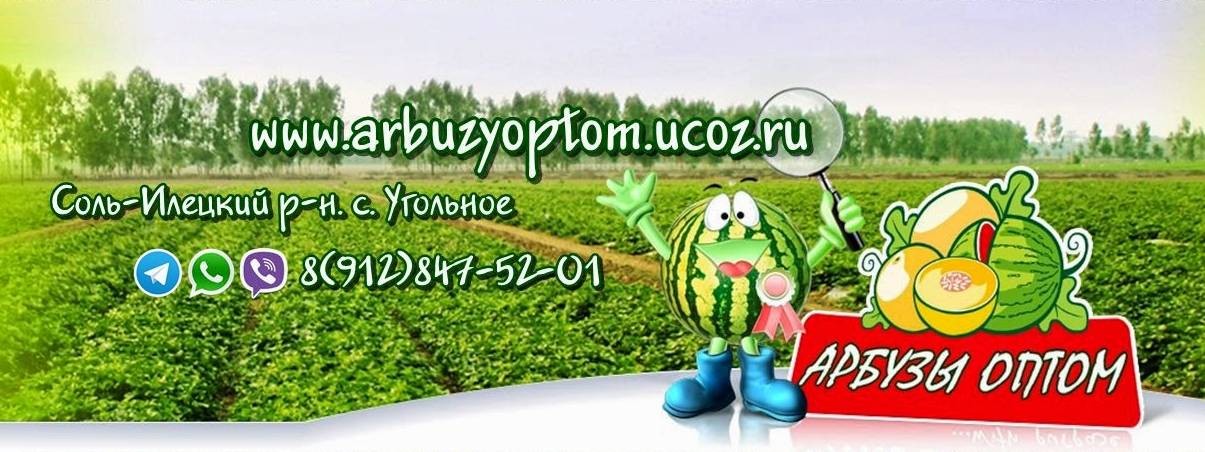 АРБУЗЫ ОПТОМ