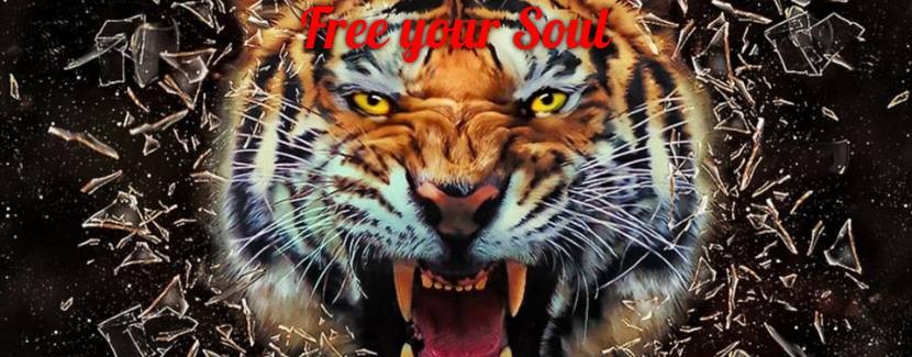 Free your Soul