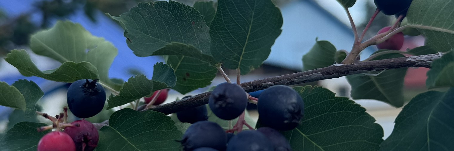 Оксана Юрьева