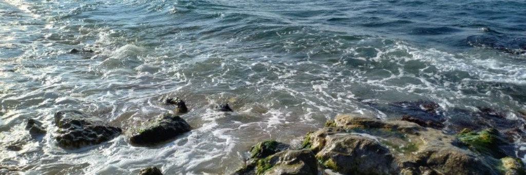 Пространство для жизни