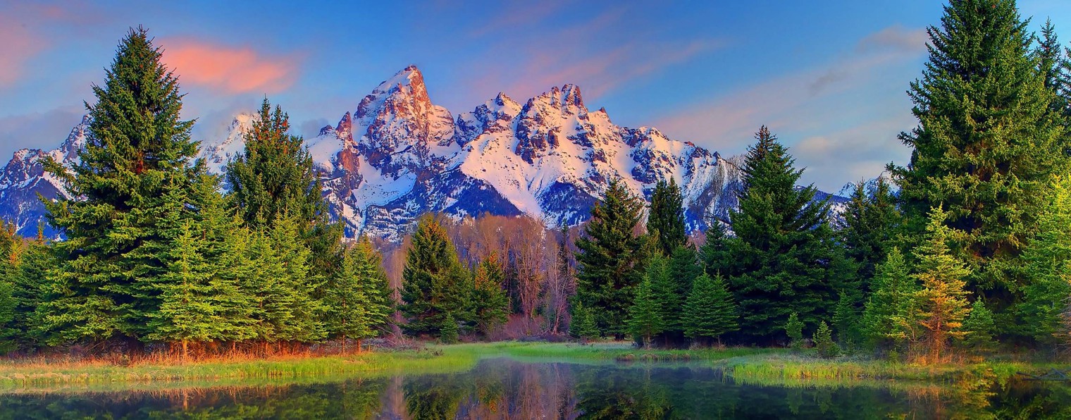 Мастер красивого и продуктивного Сада