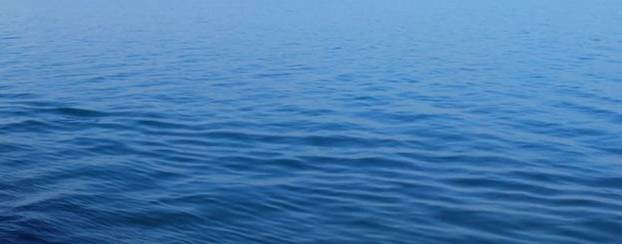 Seaman