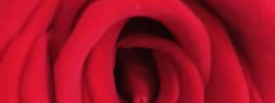 #Рисовалка с Алисой Фенимор