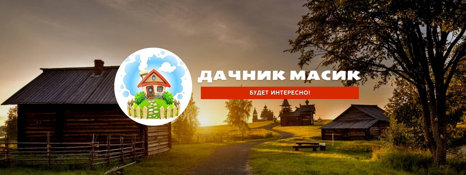 ДАЧНИК МАСИК
