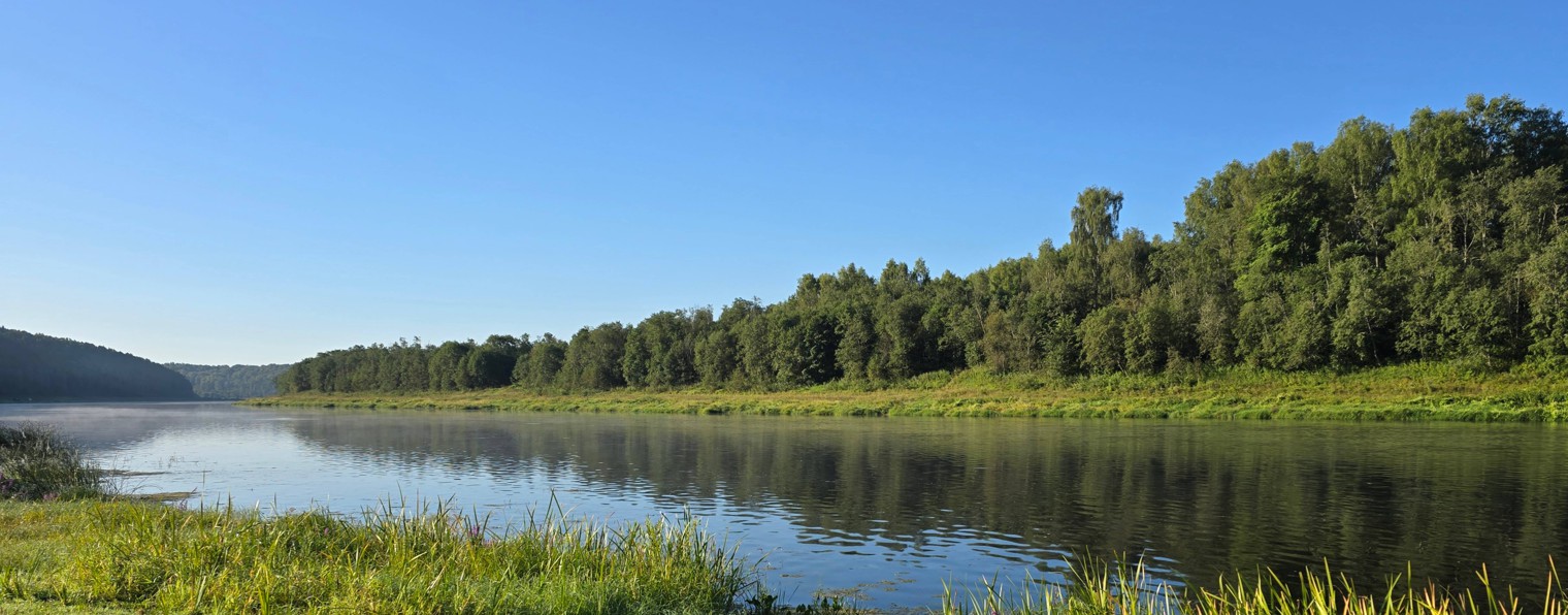 ВелоКот и Лето