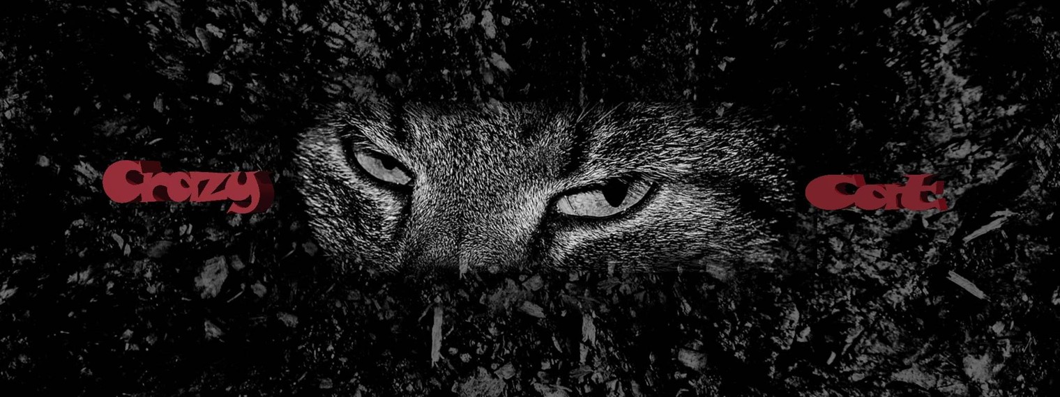 Crazy Cat