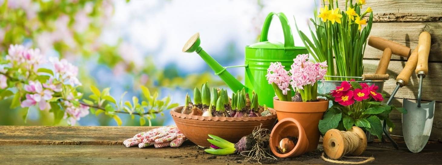 Сад и огород