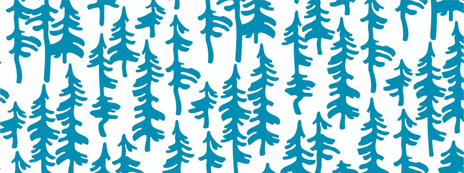 Национальный парк "Югыд ва"