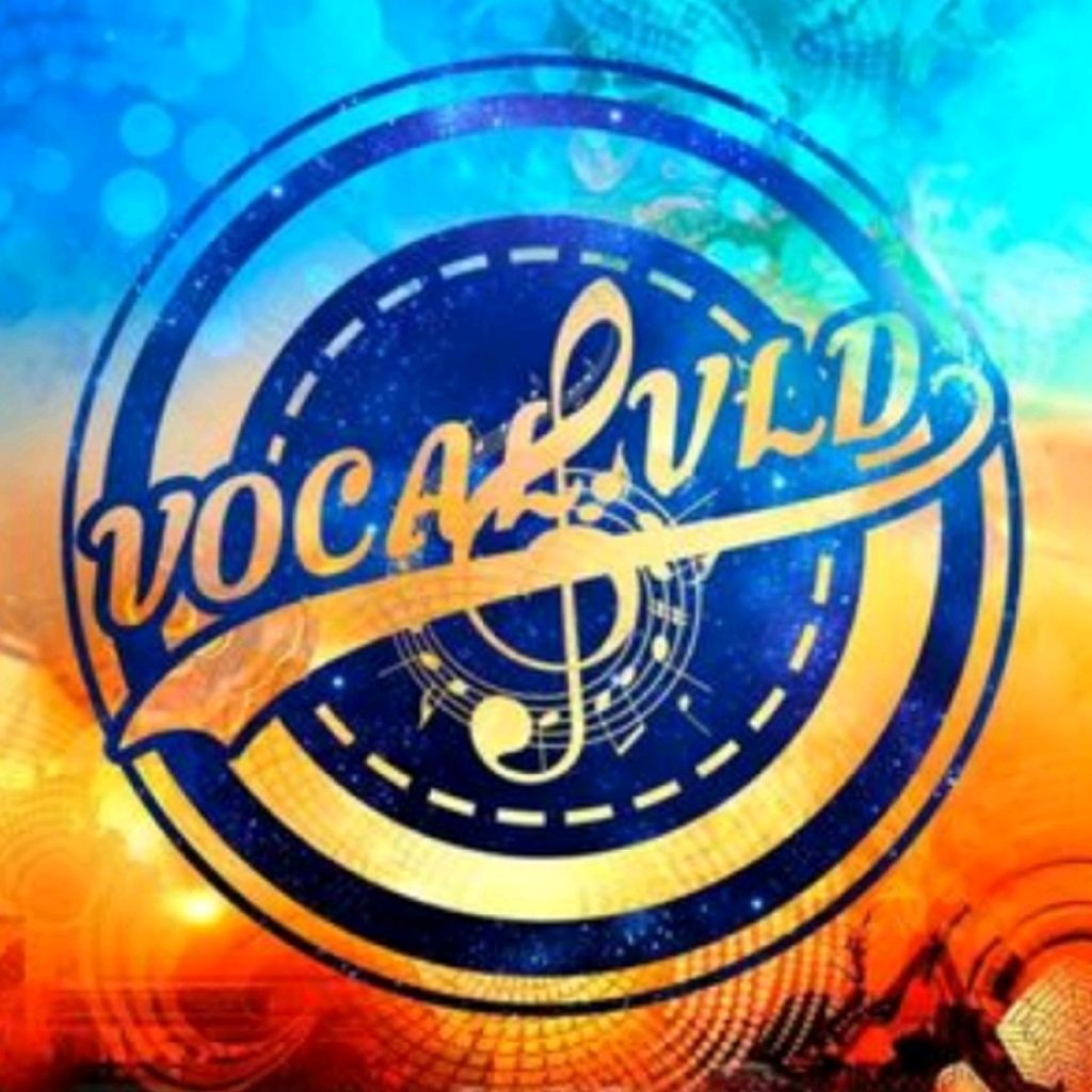 vokal.online.offline.
