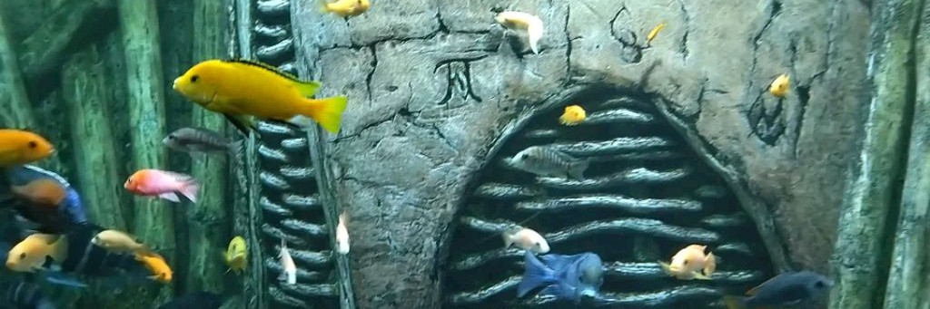 Моё первое слово ПАПА.