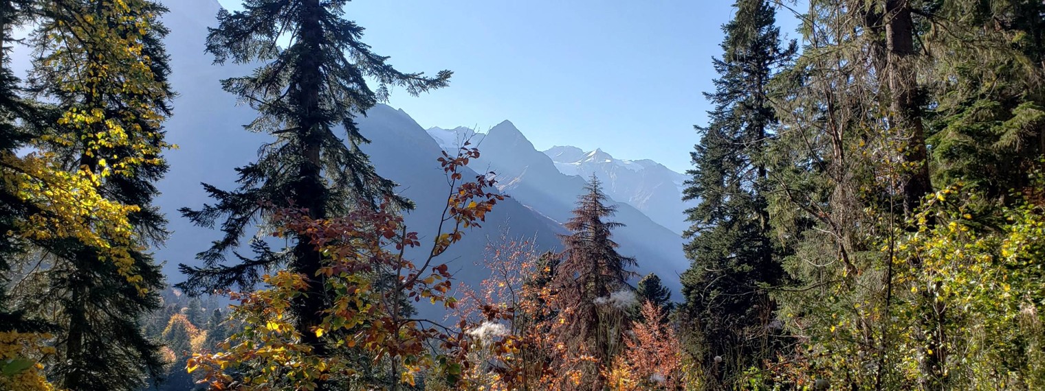 Илья Хабелашвили