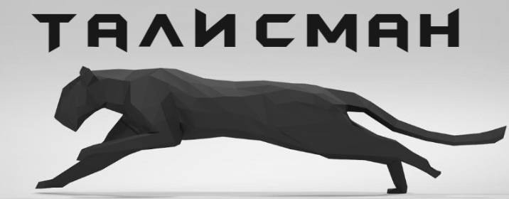Кот Талисман