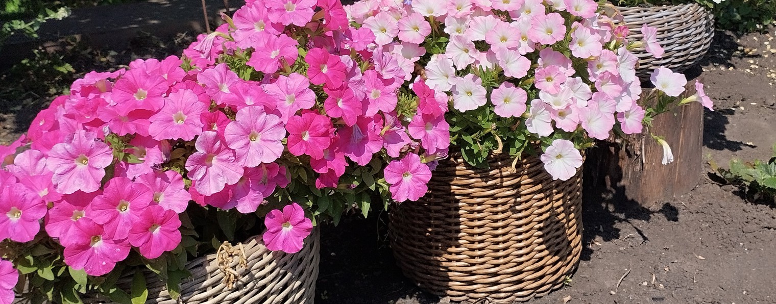 Елена_плетём_ротанг58