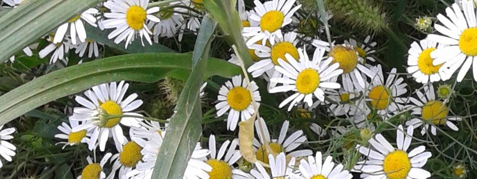 Наталья Рудакова