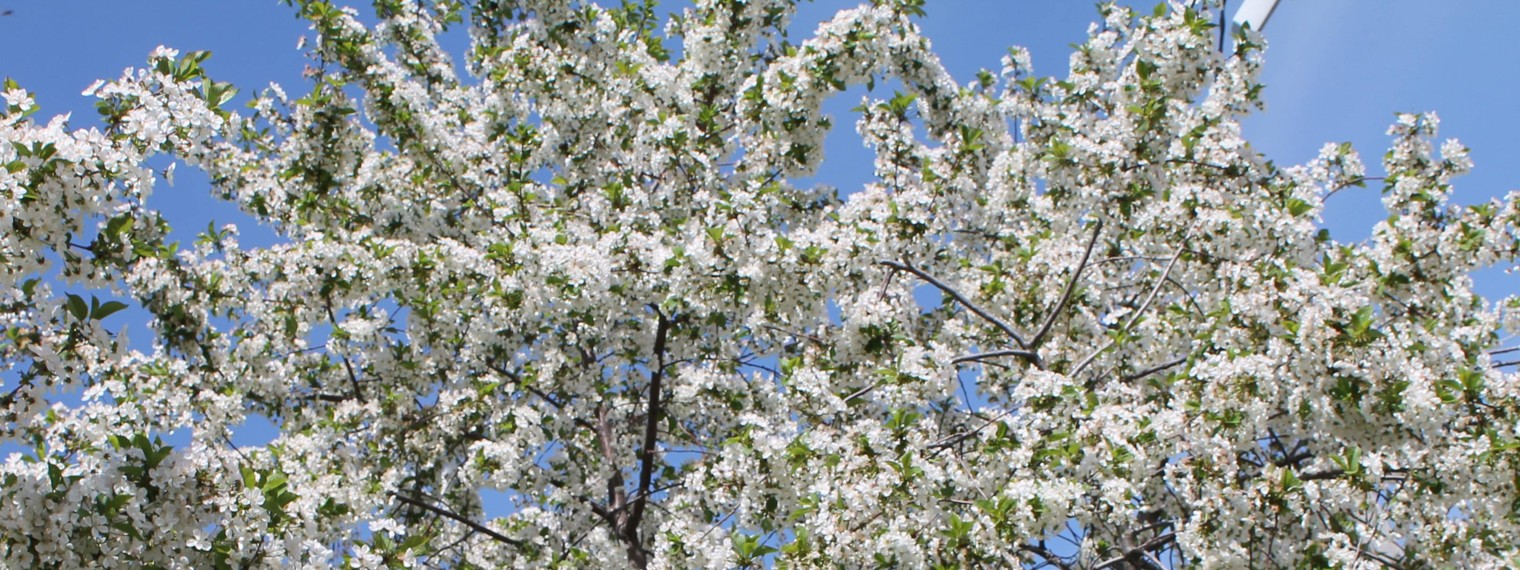 Домашняя кухня