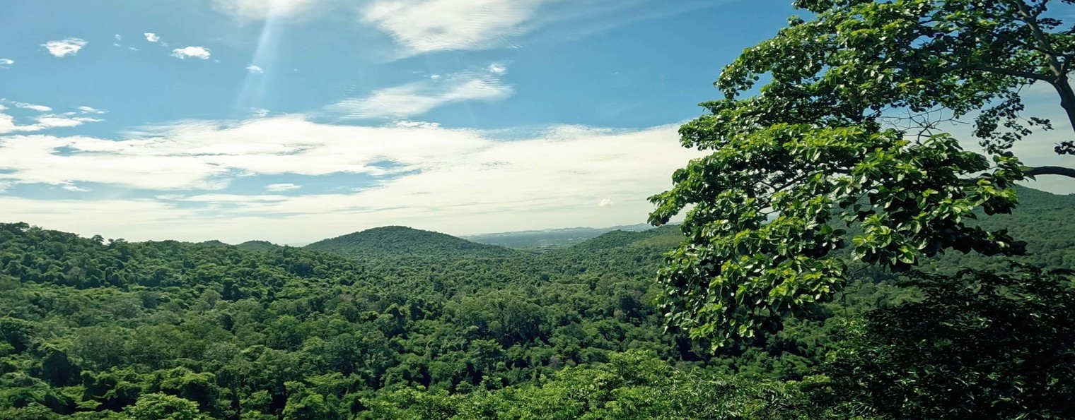 Евгений Хорьков