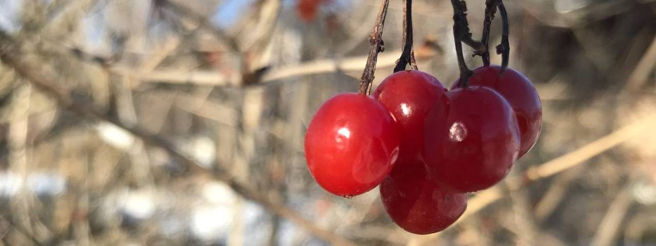 Спутник АВС