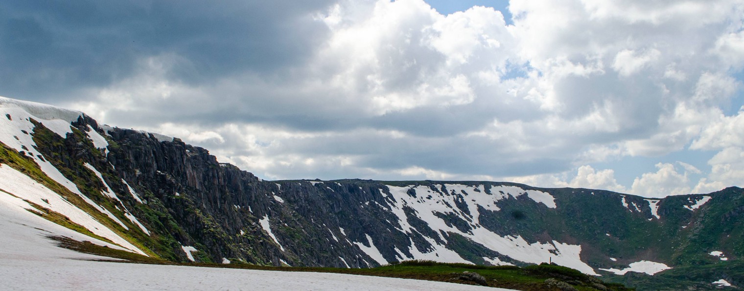Брюханов Дмитрий
