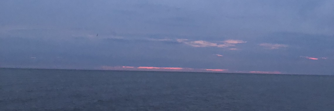 Владелец Chery