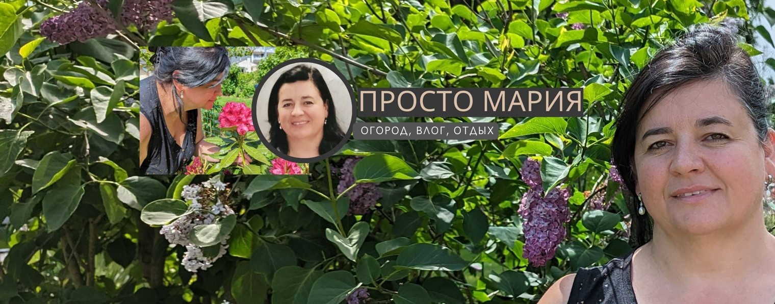 Просто Мария