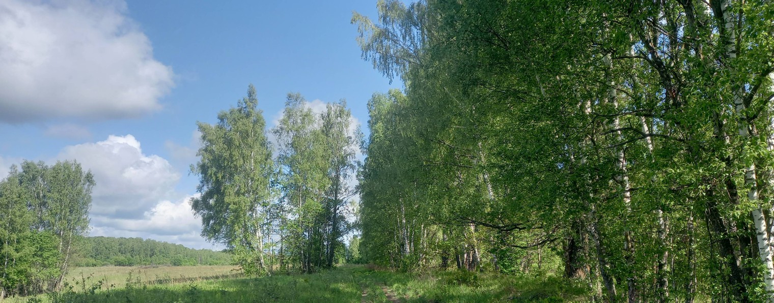 Наблюдения за животными Калужской обл.