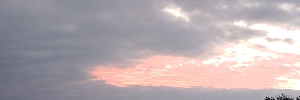 Камилла Шафикова