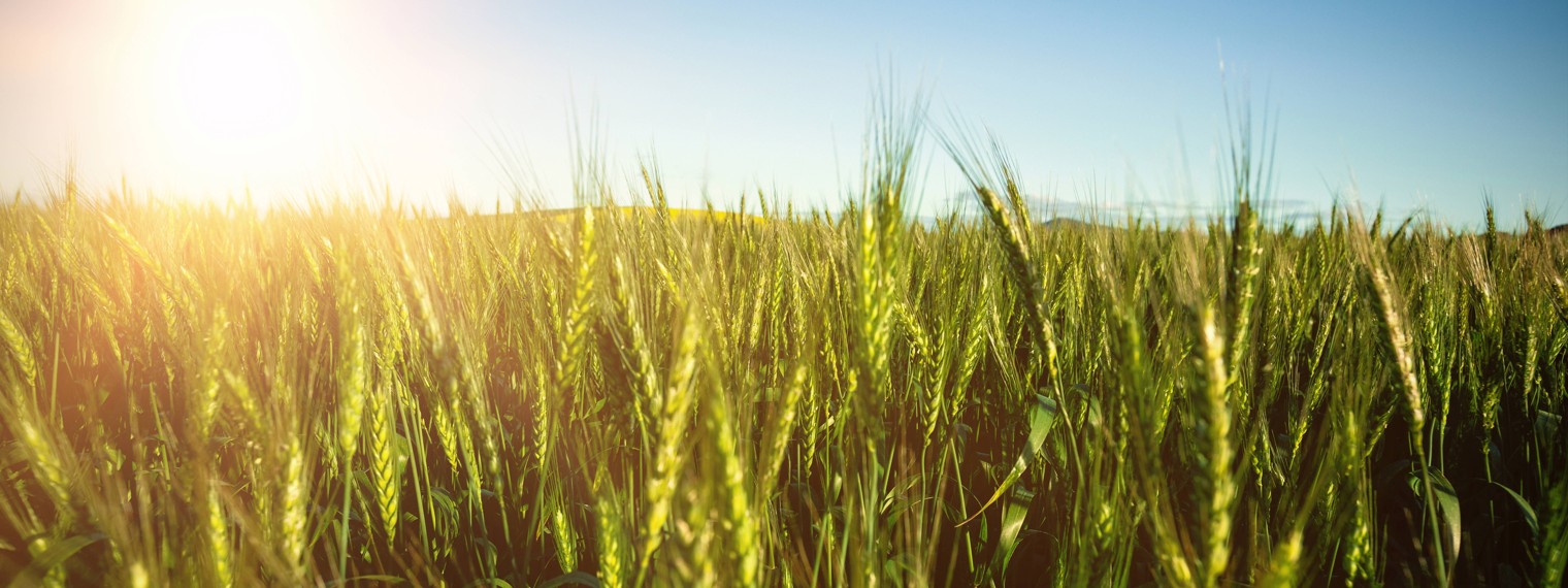 ФГБУ «ЦОК АПК»