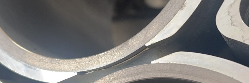 Дмитрий и Владимир Богдановы