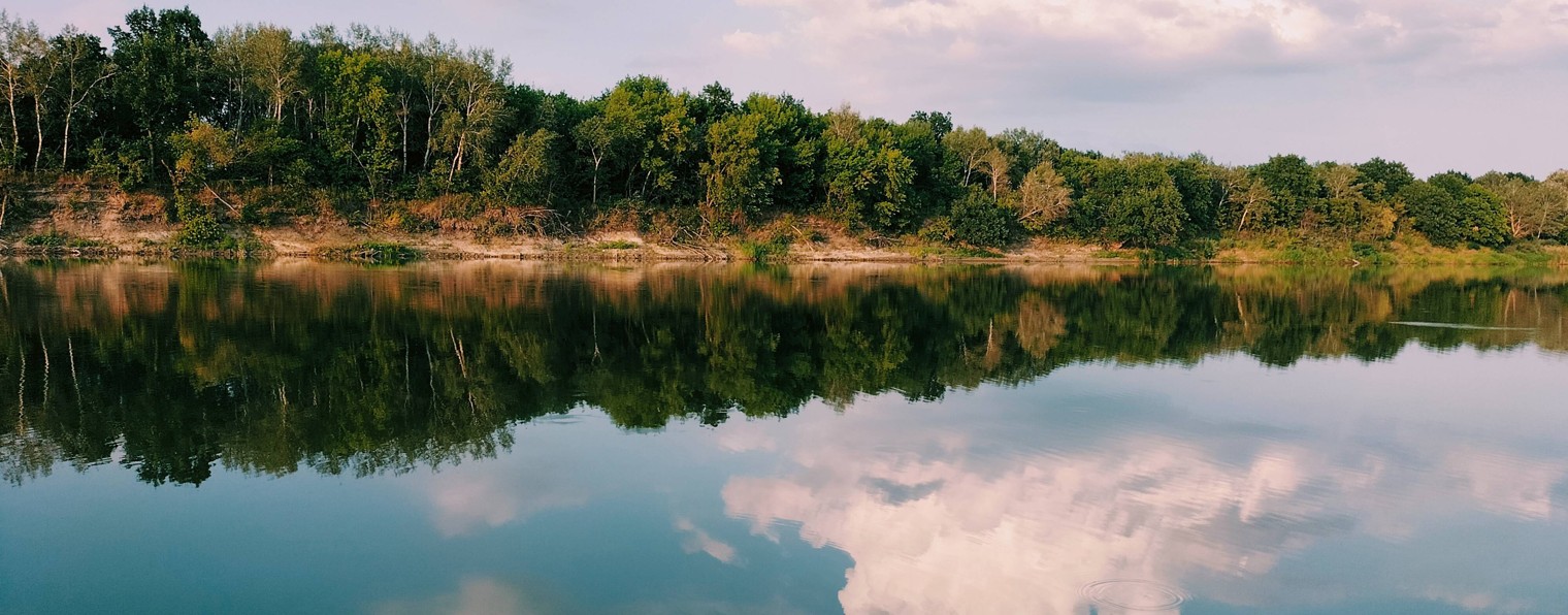 Ритмы жизни (Музыка,природа,видео,таро-прогноз)