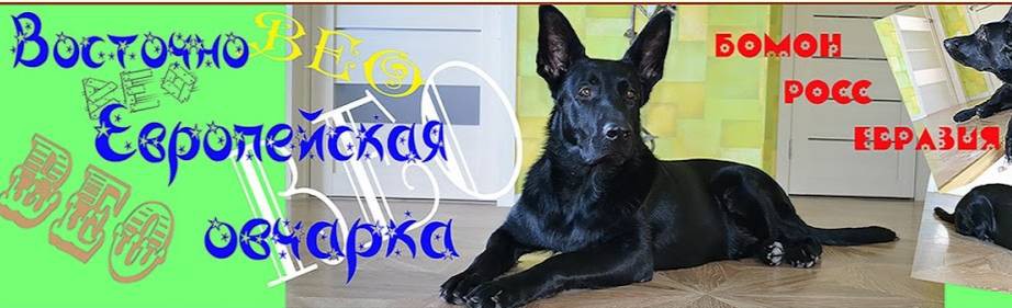 Гулимыч